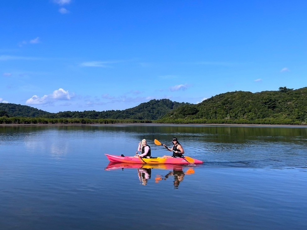 【半日】西表島のド定番！世界遺産を冒険するマングローブカヌー 西表島 Adventure Pipi（ピピ）